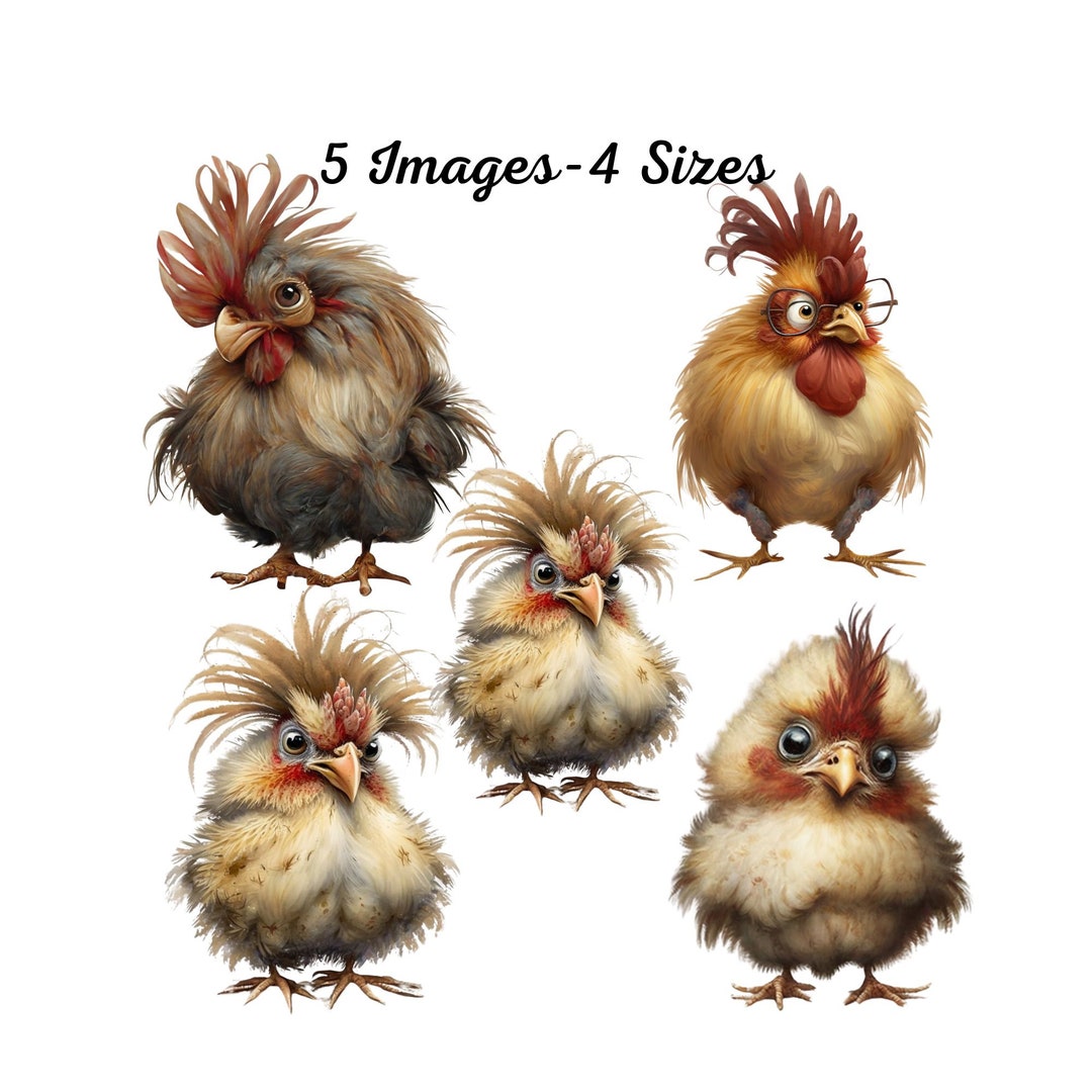 Fluffy Rooster PNG Download - Etsy