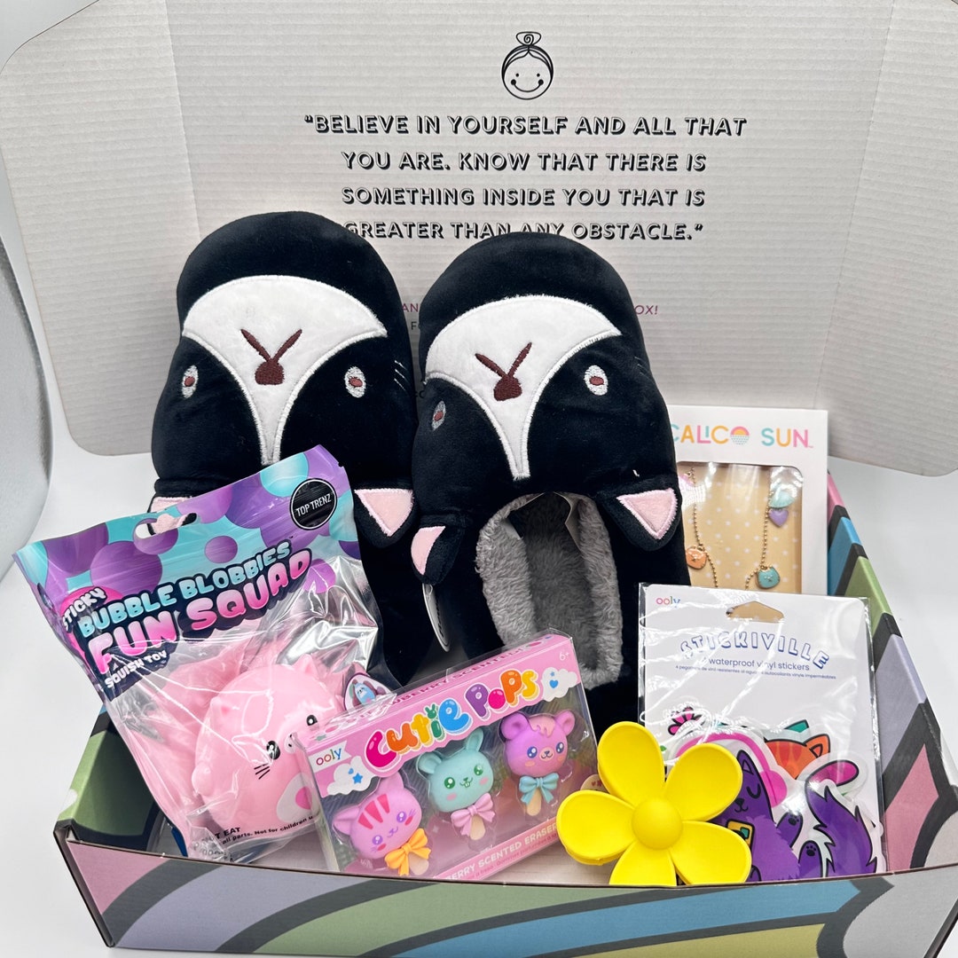 New Kitty Wishbox Curated Gift Box for Tween Girls - Etsy