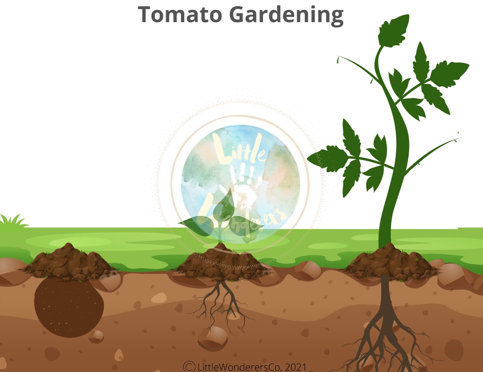 Tomato Gardening Busy Book Activity Printable Garden, Science, Life ...