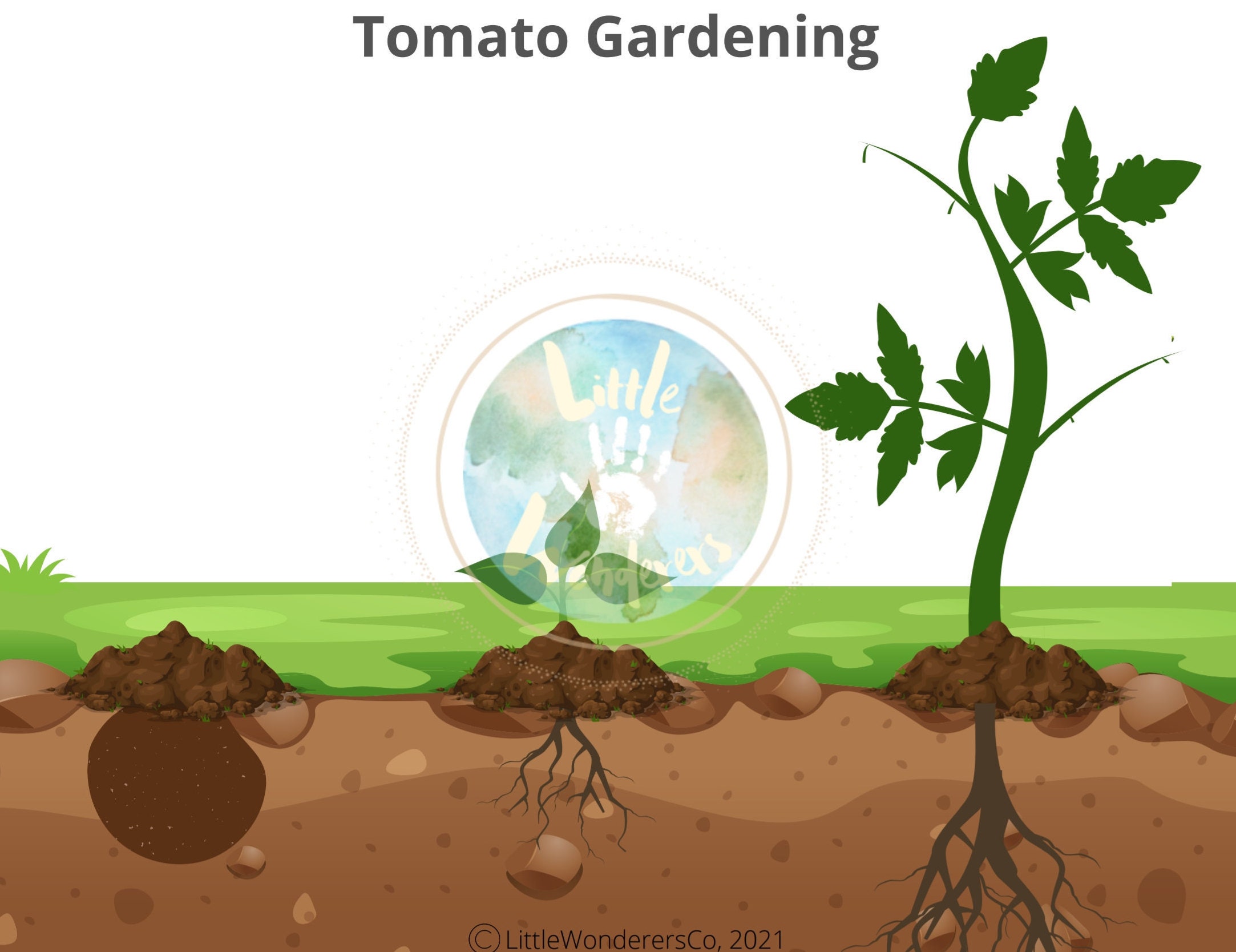 Tomato Gardening Busy Book Activity Printable Garden, Science, Life ...