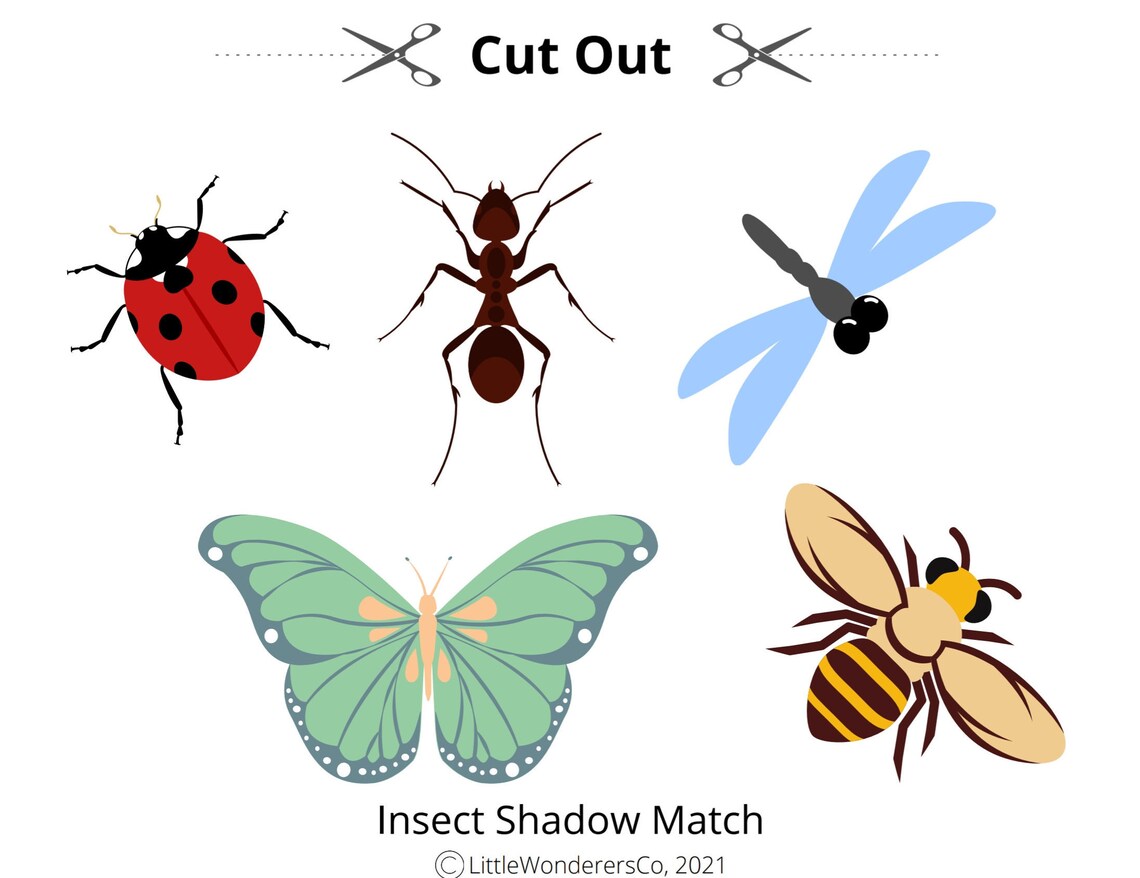 Insect Shadow Matching Busy Book Activity Page Insects, Homeschool ...