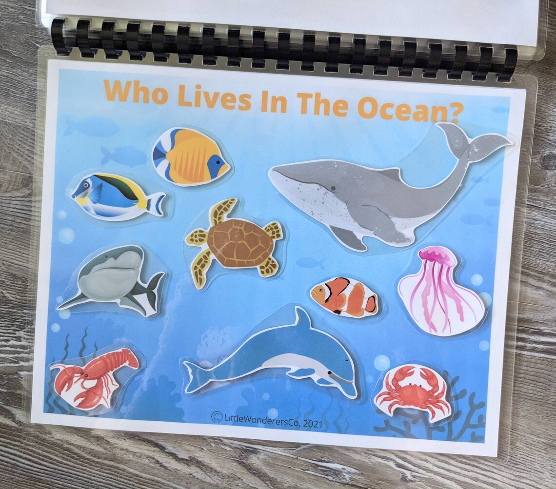 Ocean Habitat Busy Book Activity Printable Sea Life Biome | Etsy