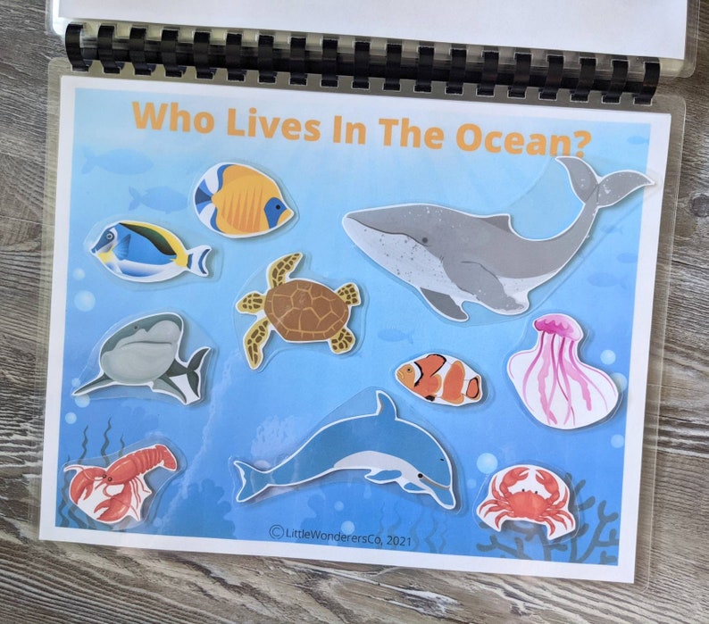 Ocean Habitat Busy Book Activity Printable Sea Life Biome | Etsy