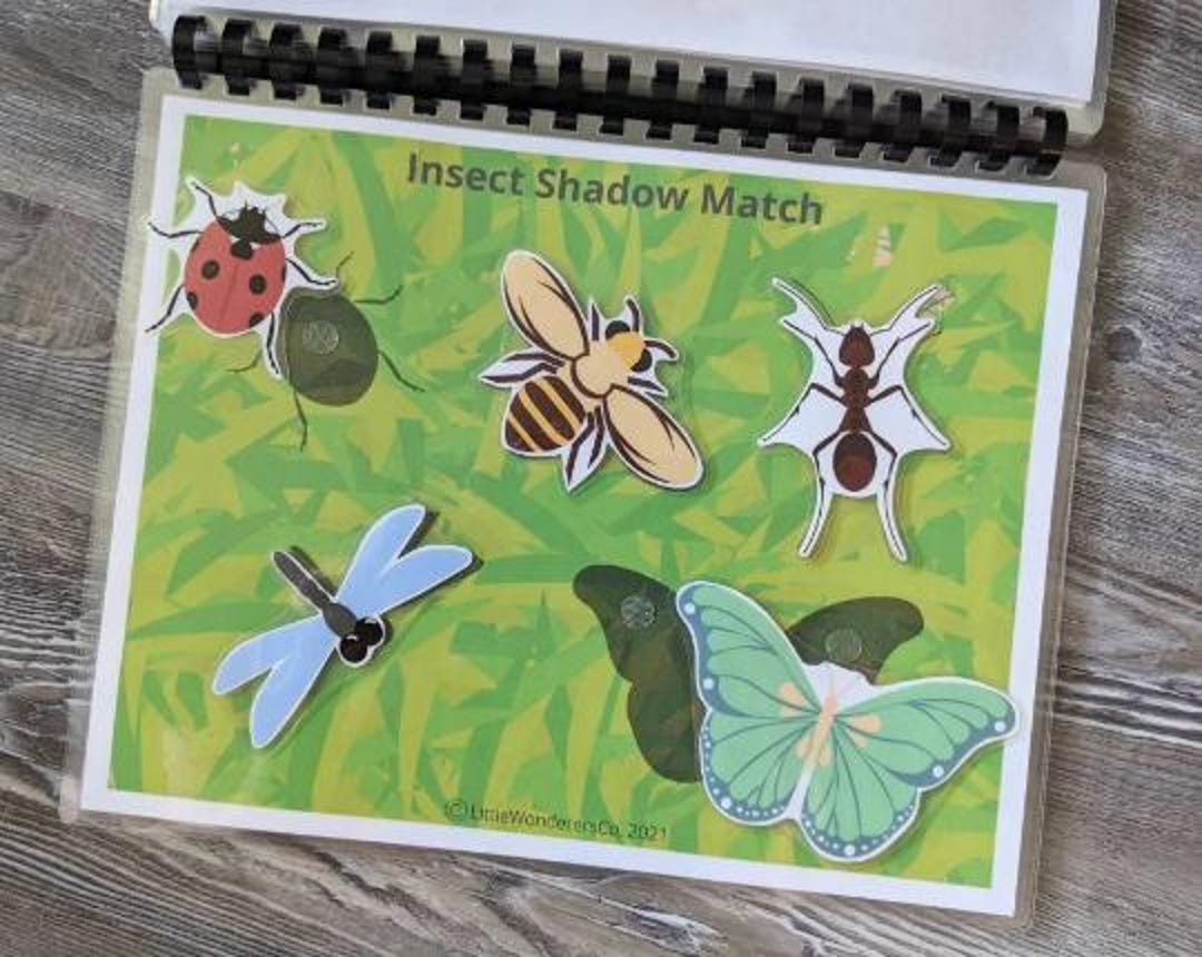 Insect Shadow Matching Busy Book Activity Page - Insects, Homeschool ...