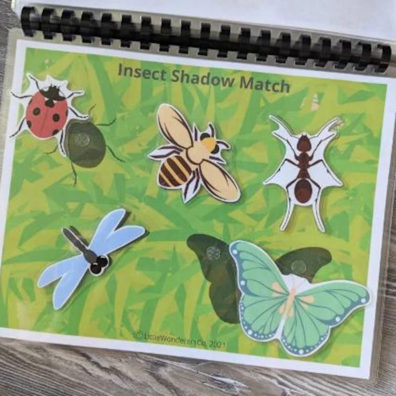 LittleWonderersCo - Etsy