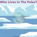 Arctic/antarctic Busy Book Activity Printable Animals, Preschool ...