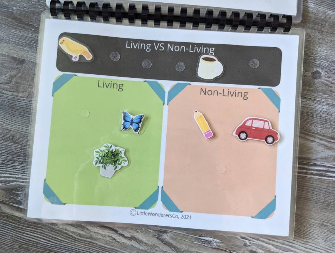 Living Vs Non-living Busy Book Activity Page Printable - Homeschool ...