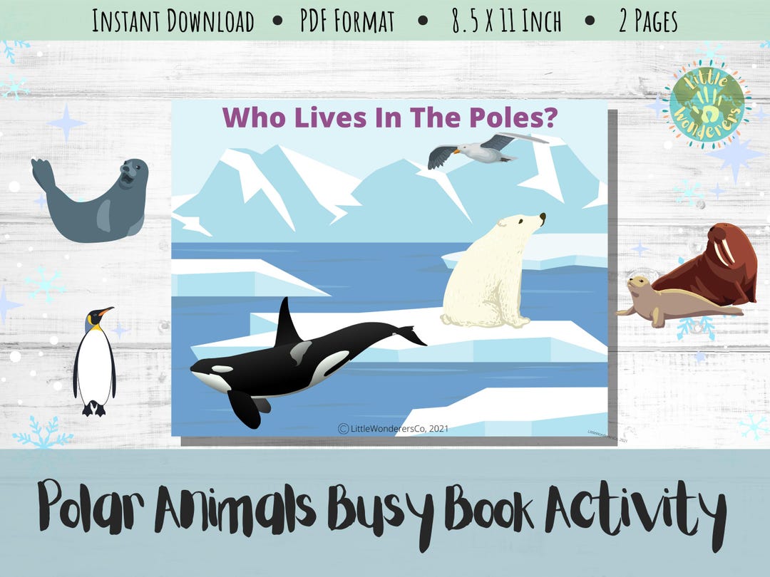 Arctic/antarctic Busy Book Activity Printable - Animals, Preschool ...