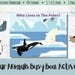 Arctic/antarctic Busy Book Activity Printable - Animals, Preschool ...