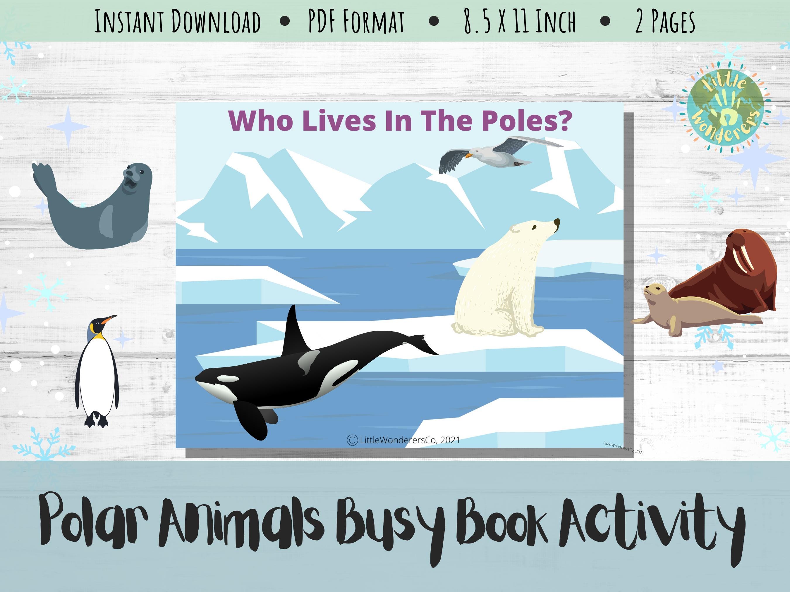 Arctic/antarctic Busy Book Activity Printable - Animals, Preschool ...