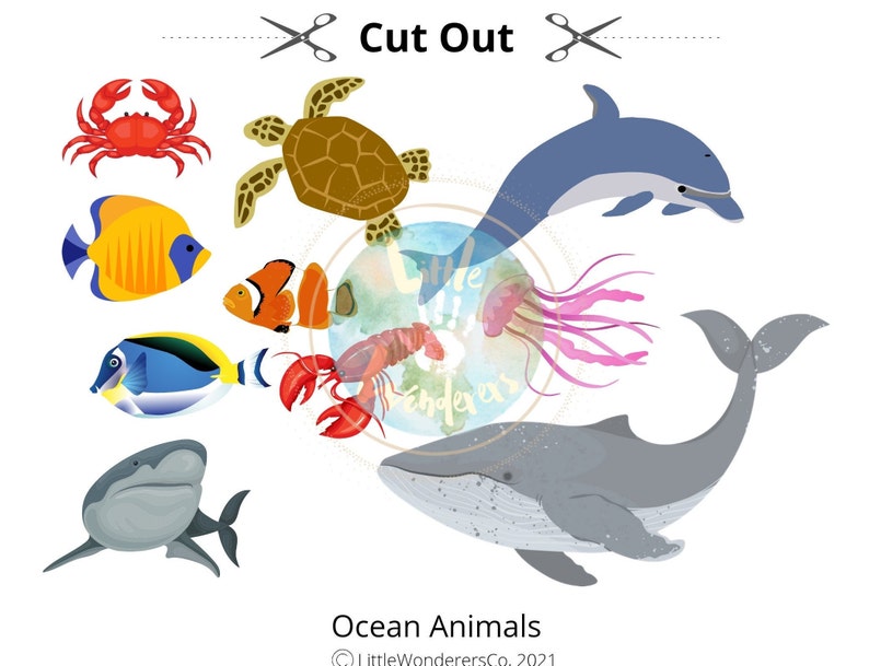 Ocean Habitat Busy Book Activity Printable Sea Life Biome | Etsy