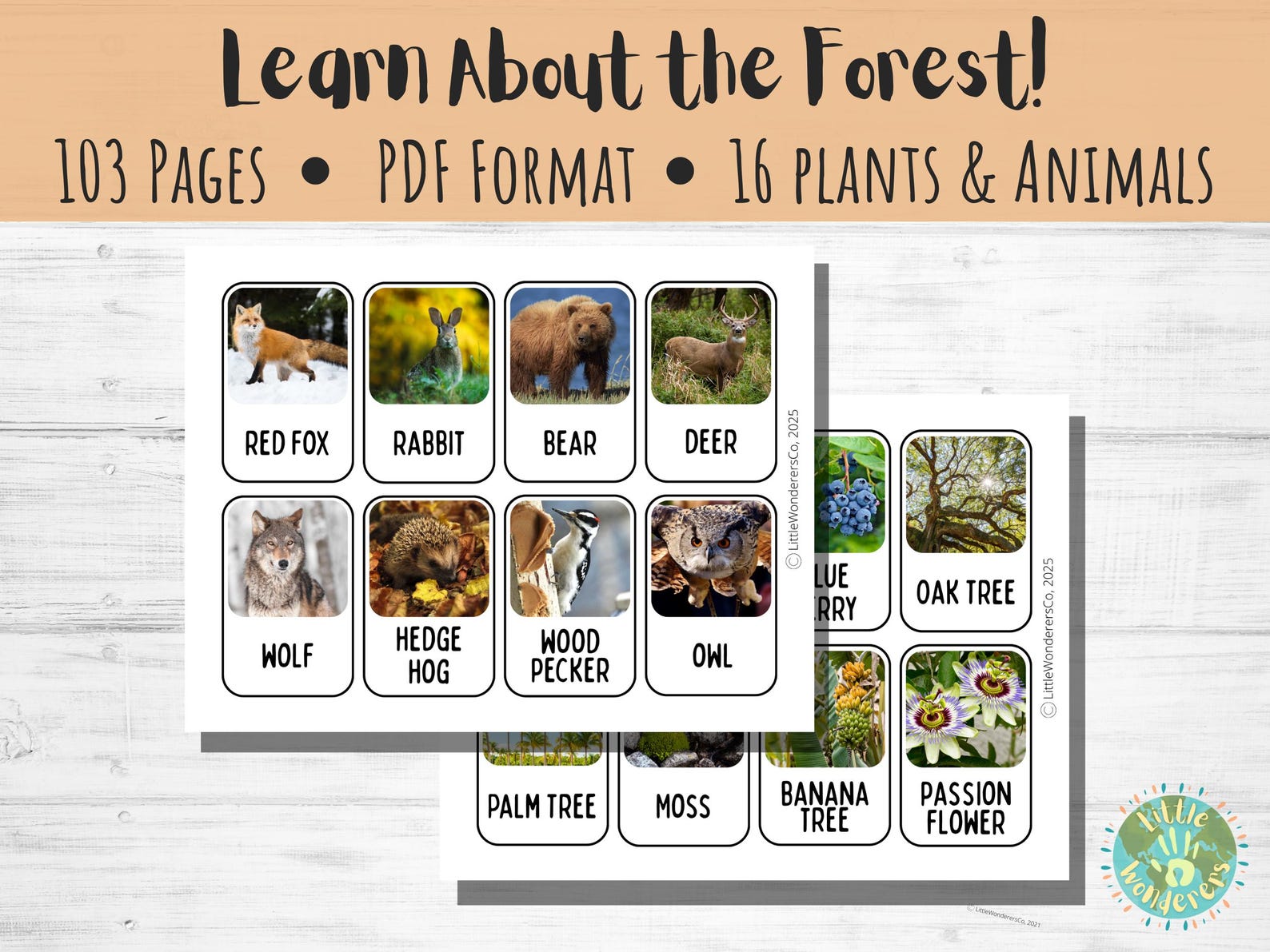 Forest Habitat Unit Study - Animals, Homeschool, Toddler, Quiet Time ...