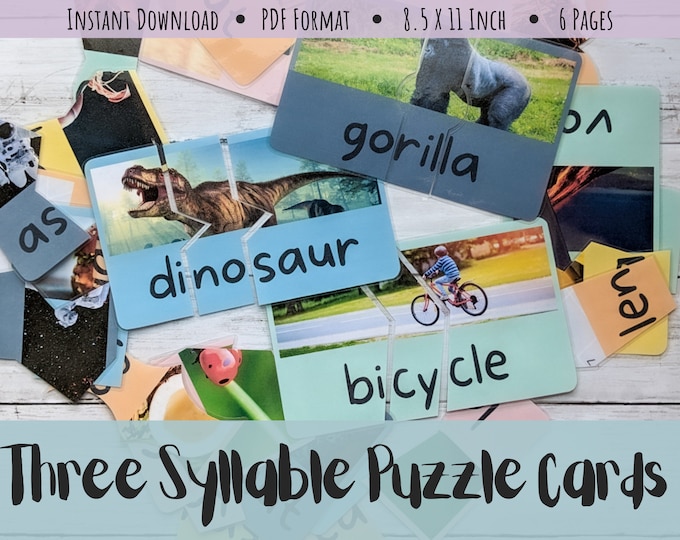 Lady Bug Number Spinner Game Printable - Counting, Preschool, Number ...