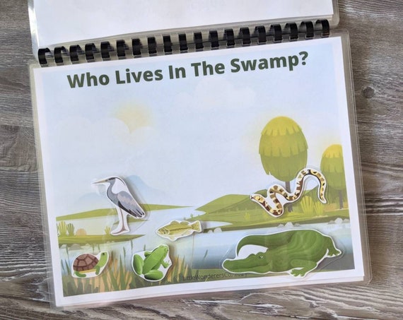 Swamp Habitat Busy Book Activity Page Printable Homeschool - Etsy