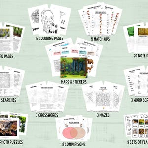 Forest Habitat Unit Study - Animals, Homeschool, Toddler, Quiet Time ...