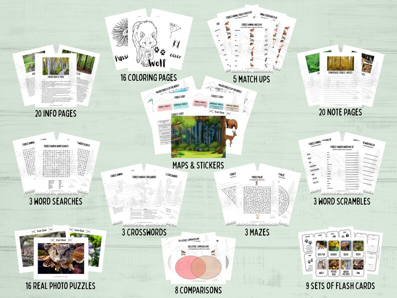 Forest Habitat Unit Study - Animals, Homeschool, Toddler, Quiet Time ...