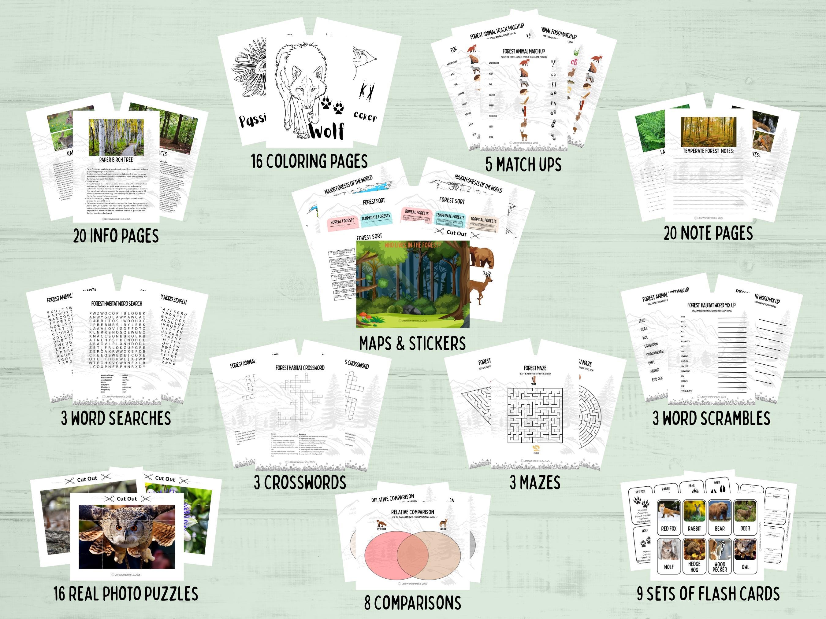 Forest Habitat Unit Study - Animals, Homeschool, Toddler, Quiet Time ...