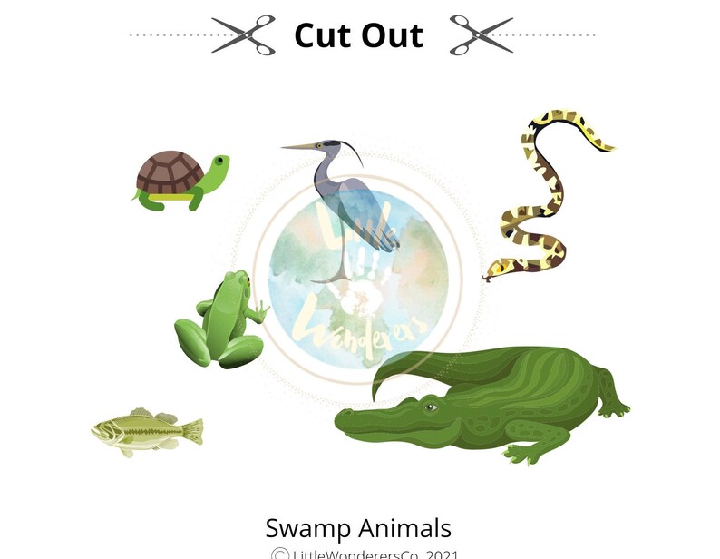 Swamp Habitat Busy Book Activity Page Printable - Homeschool, Science ...