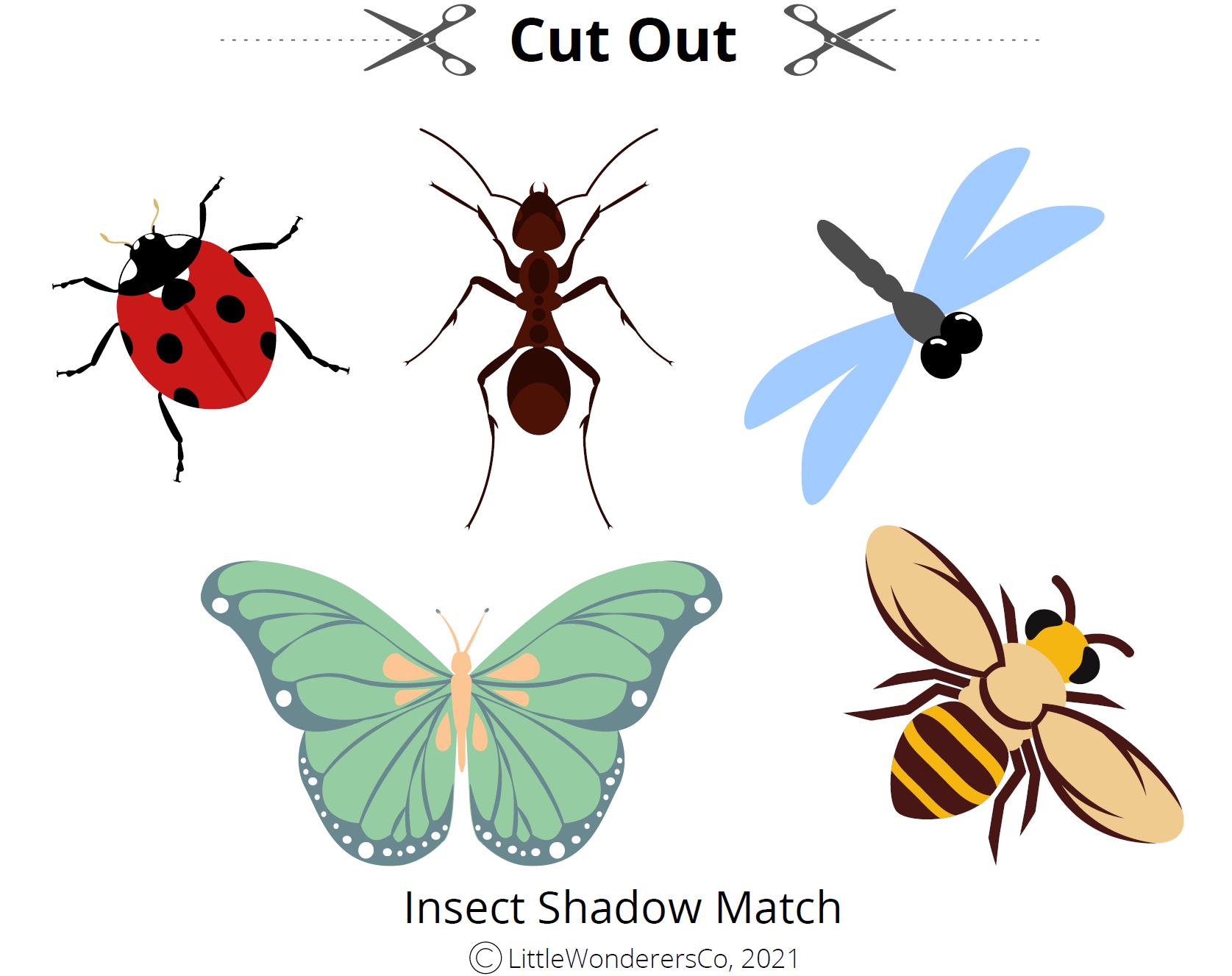 Insect Shadow Matching Busy Book Activity Page - Insects, Homeschool ...