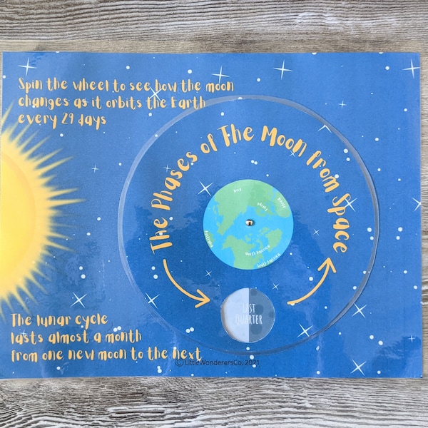 Ocean Habitat Busy Book Activity Printable Sea Life, Biome, Preschool ...