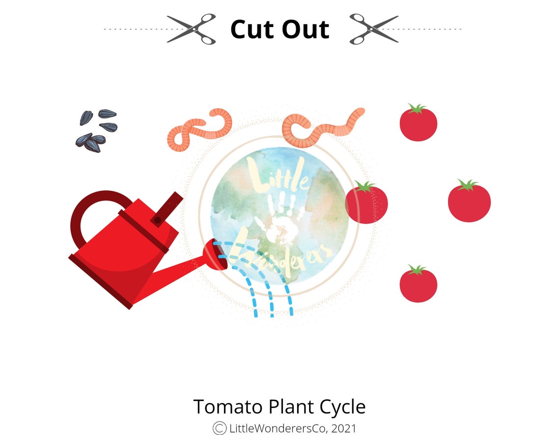 Tomato Gardening Busy Book Activity Printable Garden, Science, Life ...