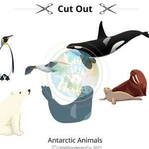 Arctic/antarctic Busy Book Activity Printable - Animals, Preschool ...