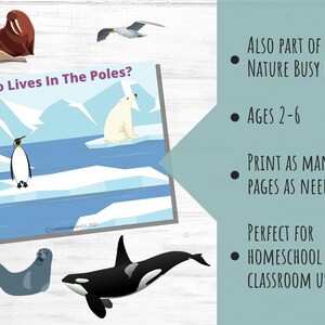 Arctic/antarctic Busy Book Activity Printable - Animals, Preschool ...