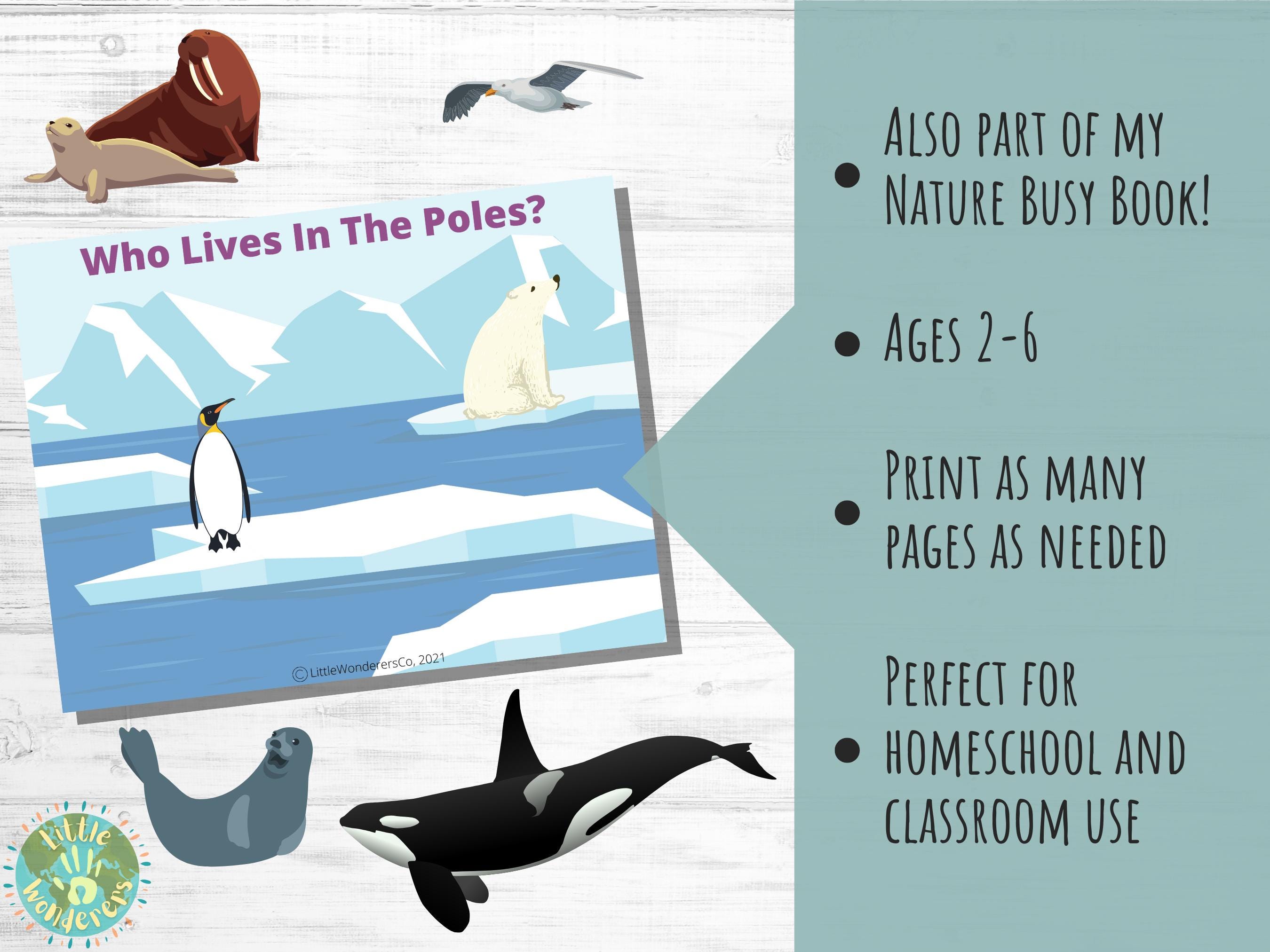 Arctic/antarctic Busy Book Activity Printable - Animals, Preschool ...