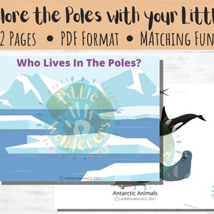 Arctic/antarctic Busy Book Activity Printable - Animals, Preschool ...