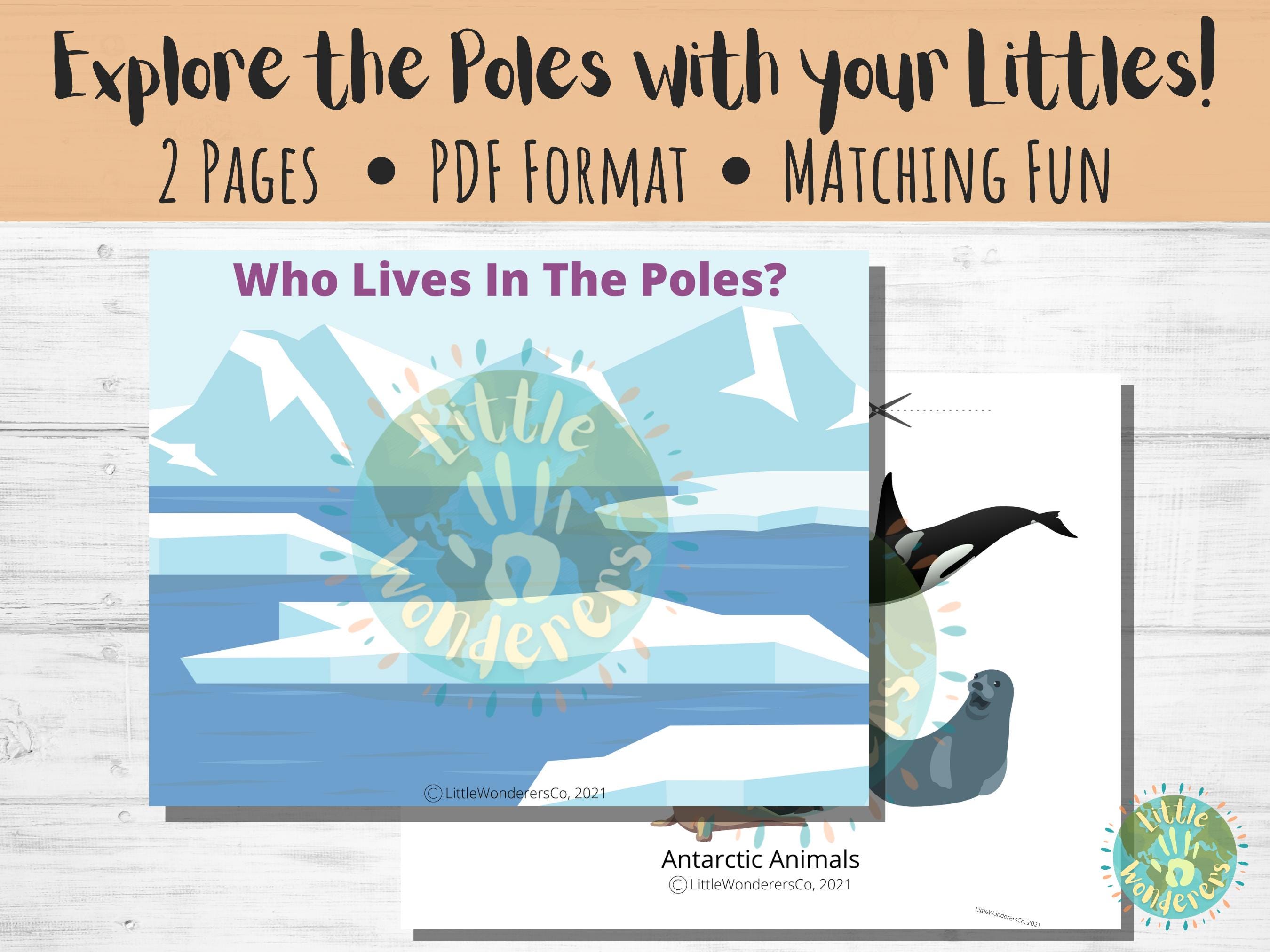 Arctic/antarctic Busy Book Activity Printable - Animals, Preschool ...