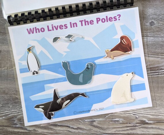 Arctic/antarctic Busy Book Activity Printable Animals | Etsy