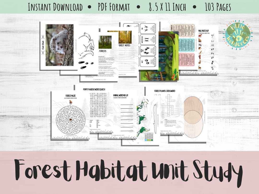 Forest Habitat Unit Study - Animals, Homeschool, Toddler, Quiet Time ...