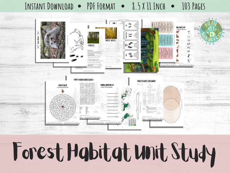 Forest Habitat Unit Study - Animals, Homeschool, Toddler, Quiet Time ...