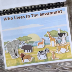 Savannah Habitat Busy Book Activity Printable - African Animals, Biome ...