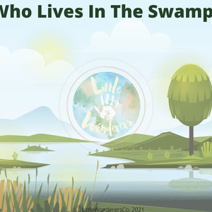 Swamp Habitat Busy Book Activity Page Printable - Homeschool, Science ...