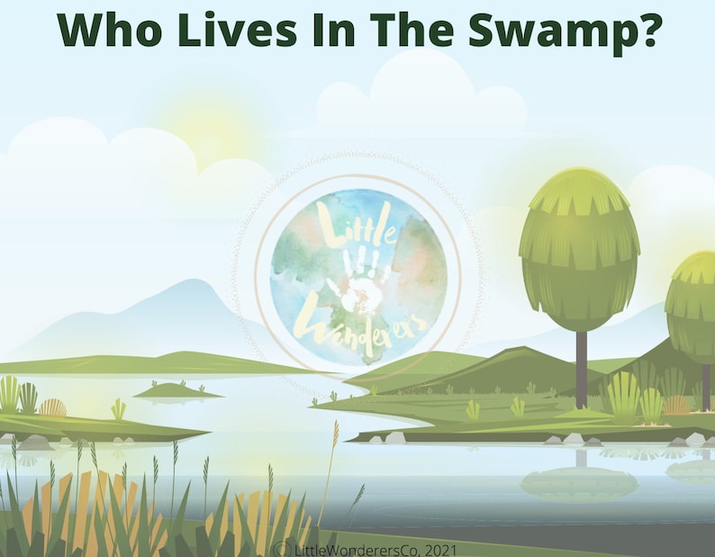 Swamp Habitat Busy Book Activity Page Printable - Homeschool, Science ...