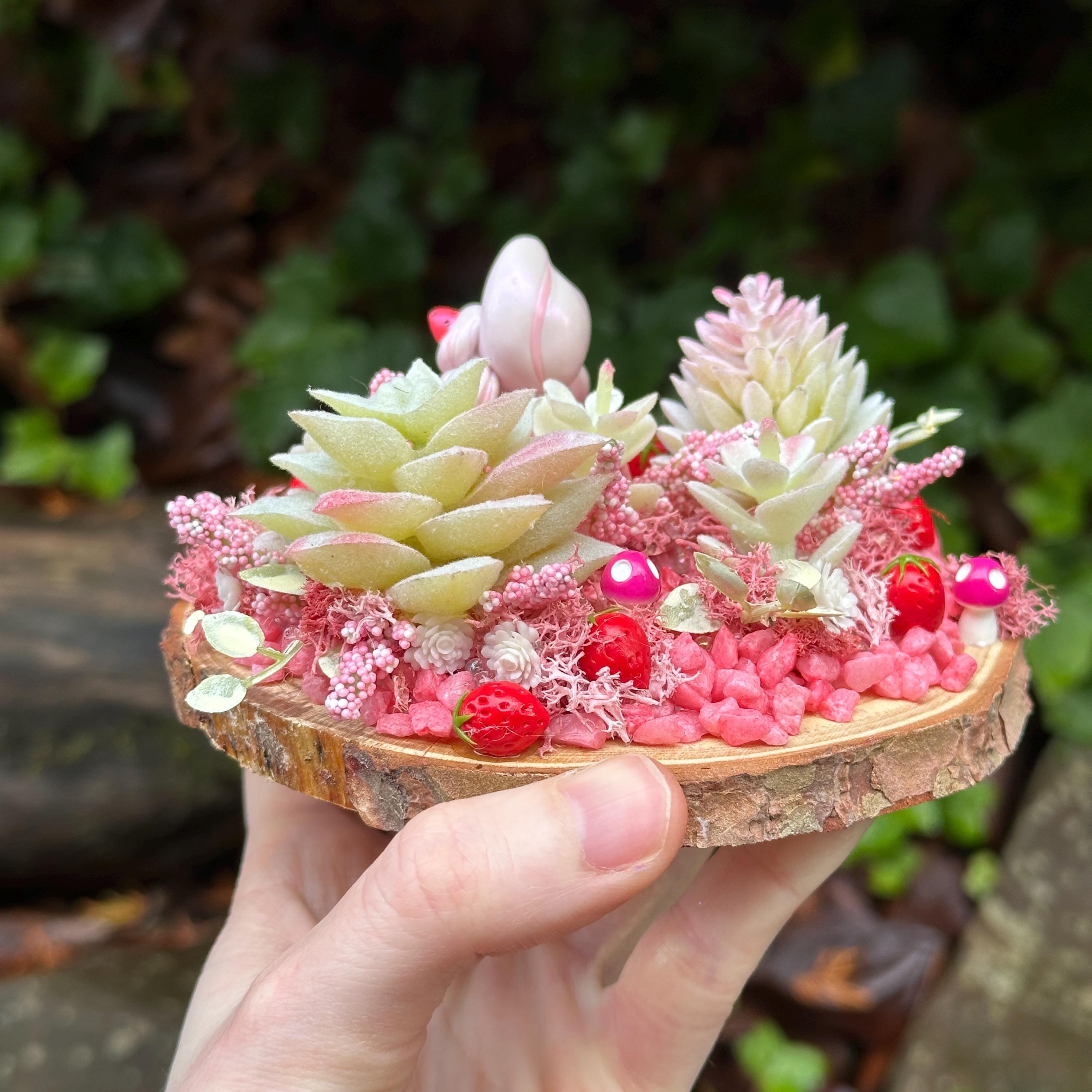 Alcremie Video Game Terrarium | Faux Succulent Terrarium Diorama ...