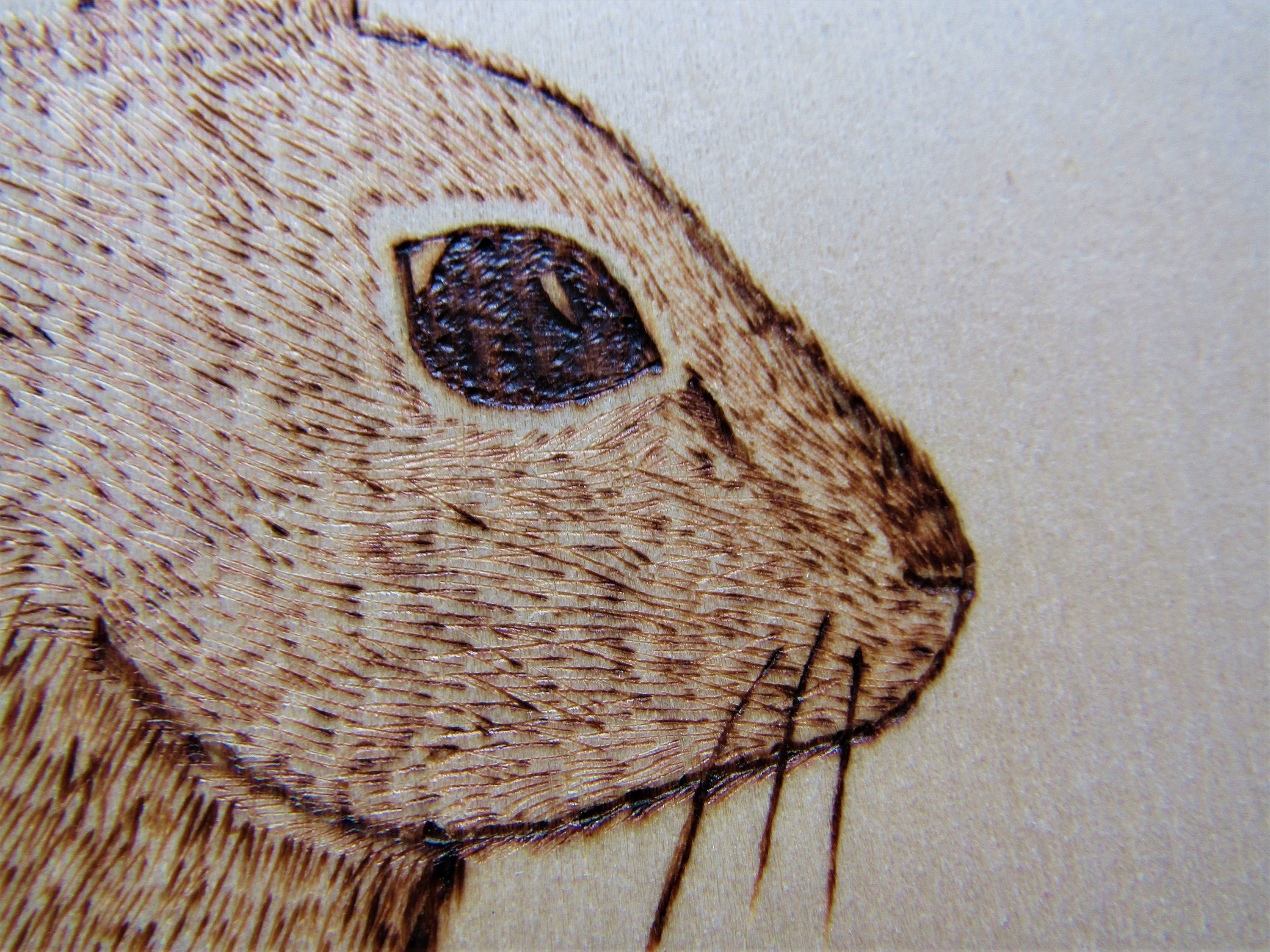 Moon Gazing Hare Pyrography Wall Art - Etsy