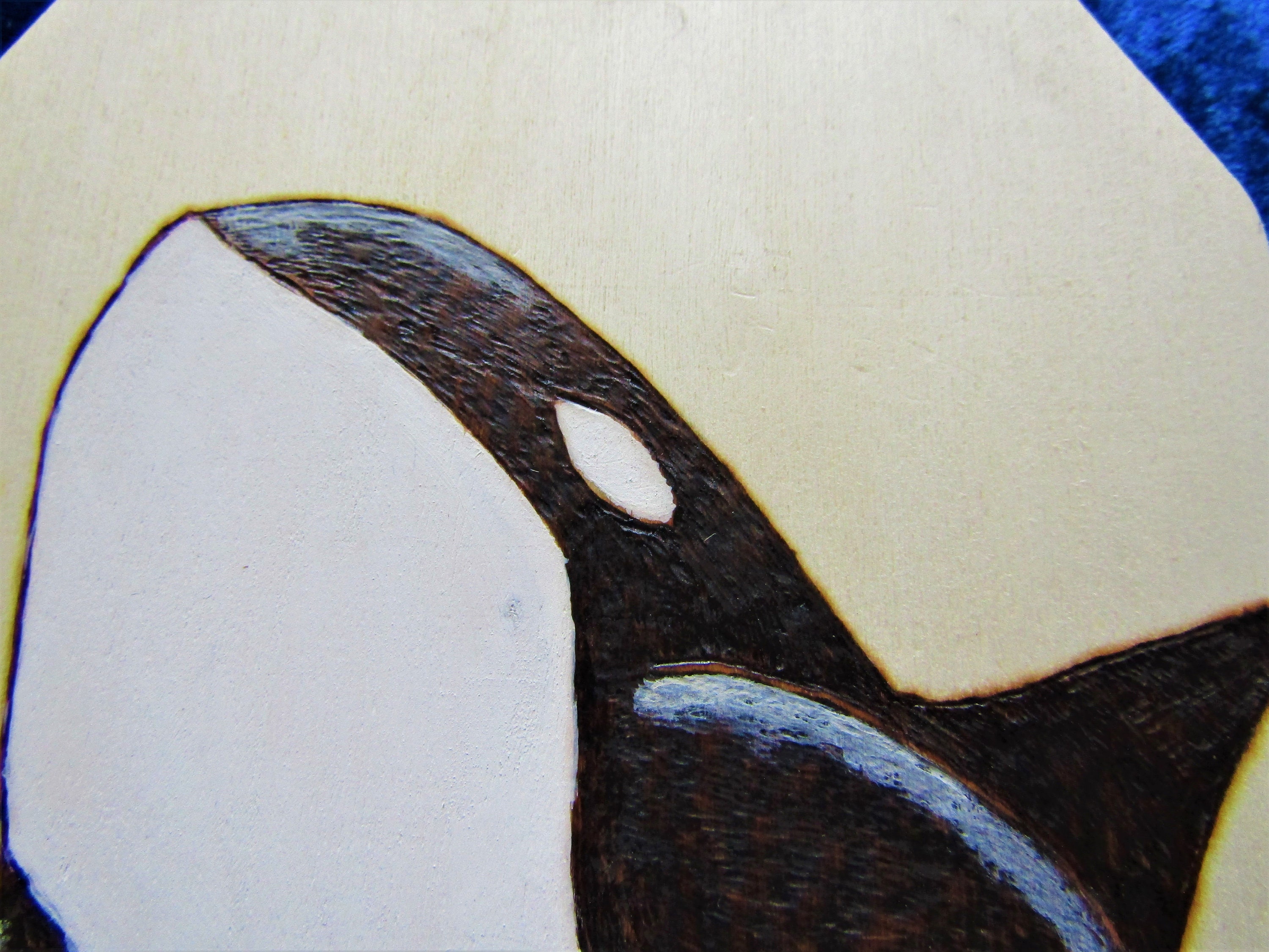 Killer Whale Pyrography Wall Art - Etsy
