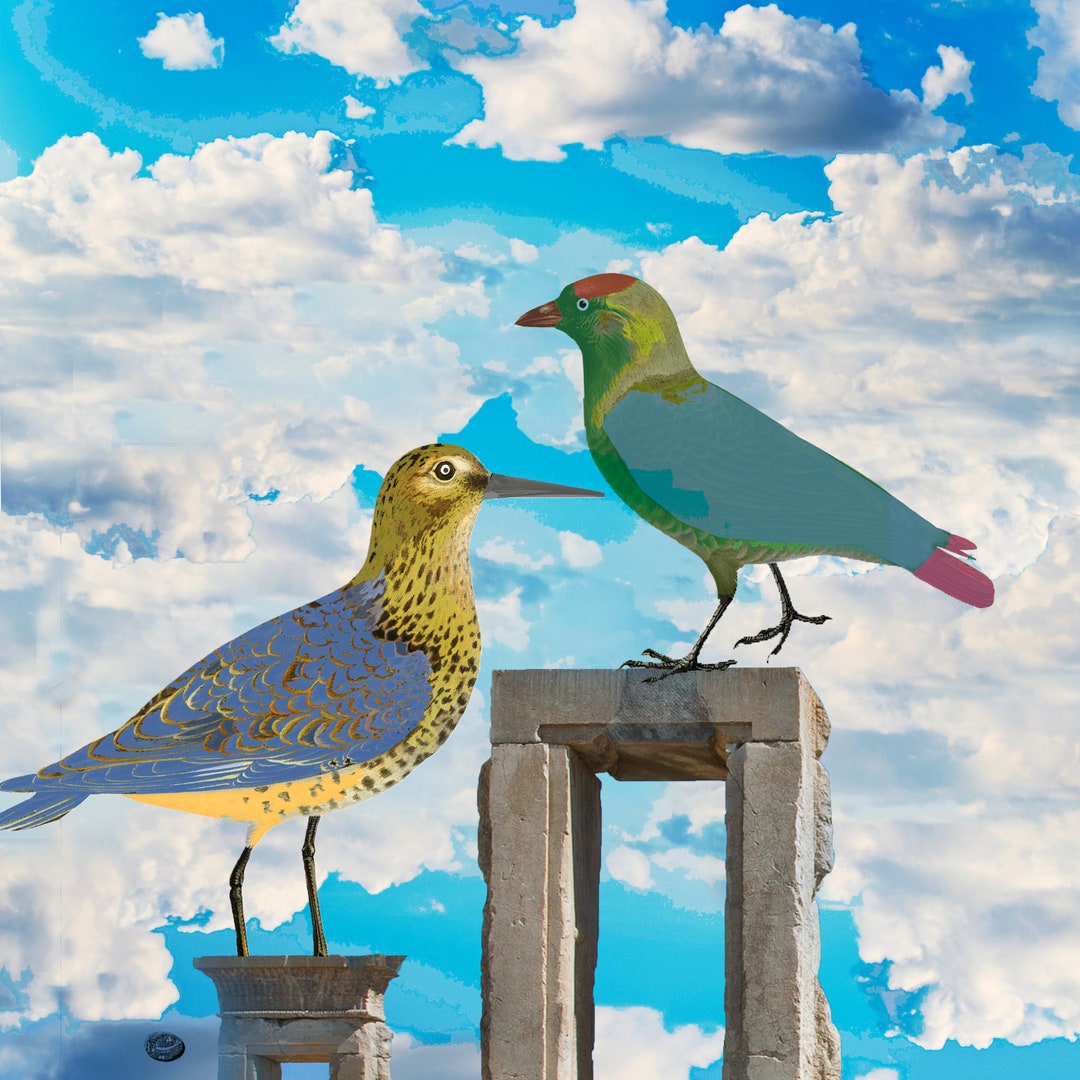 Birds on the Cyrus the Great Monument - Etsy