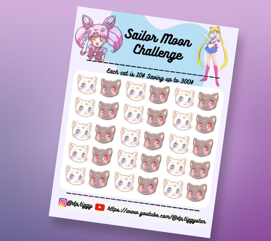 Sailor Moon Savings Challenge Kit, Cash Stuffing, Mystery Saving - Etsy