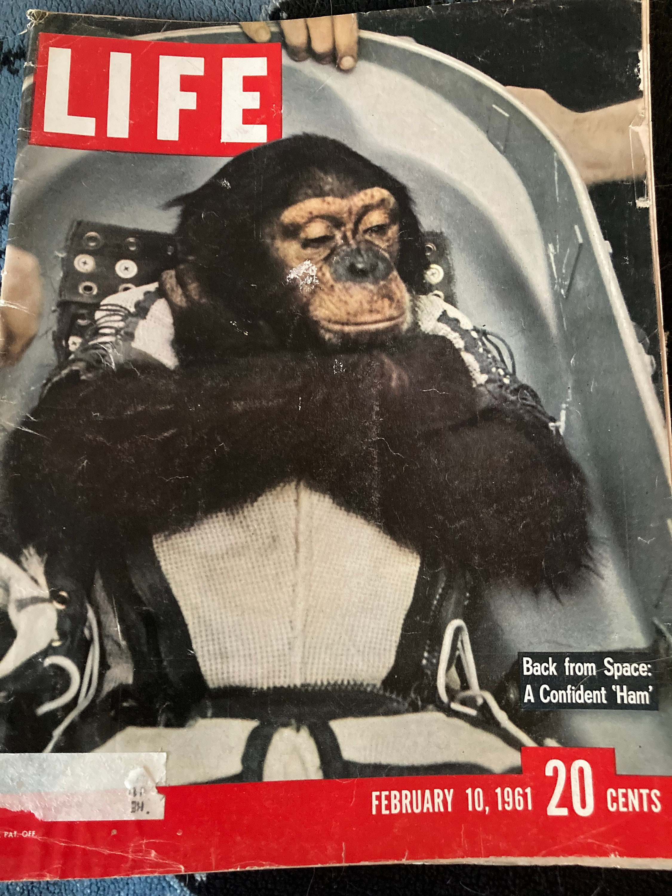 Ham The Space Monkey 1959