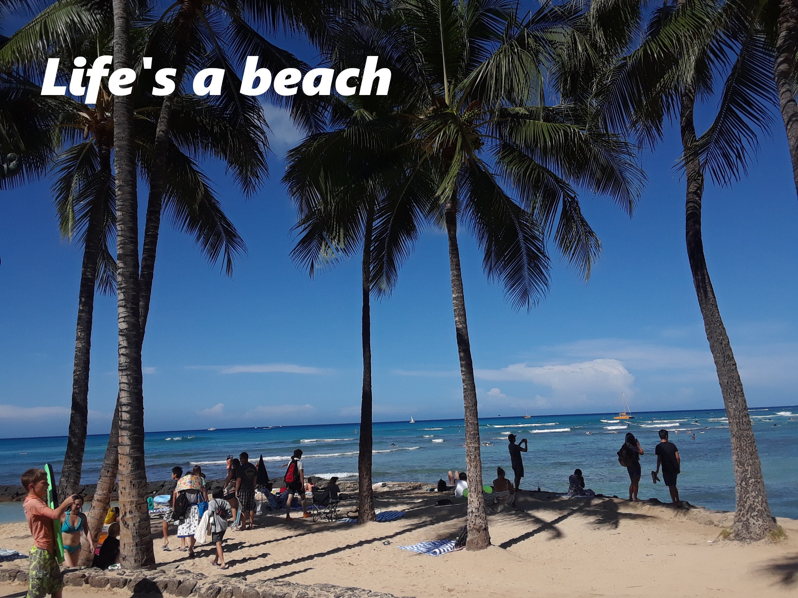 Tropical Postcards Set of 5 - Etsy