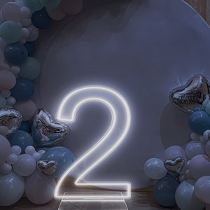 Light up Numbers,number Neon Sign for Birthday Party Decor,birthday ...