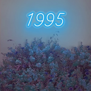 Number 1995 Neon Sign Birthday Party Event Decor, Number LED Light ...