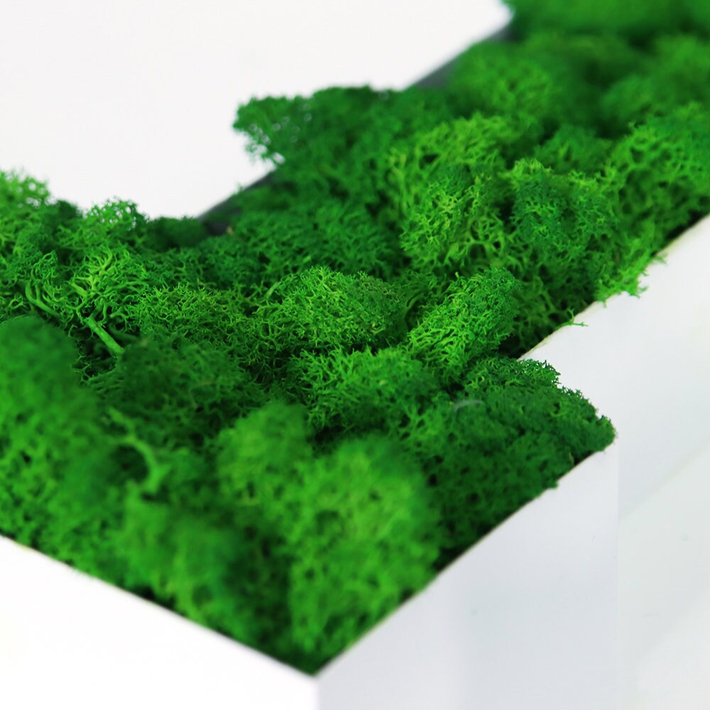 Moss Company Logo, Custom Moss Sign, Office Moss Decor,custom Moss ...