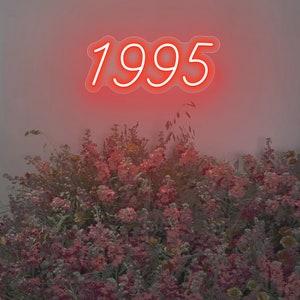 Number 1995 Neon Sign Birthday Party Event Decor, Number LED Light ...