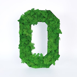 Moss Sign,wall Moss Office Sign,custom Moss Letters,custom Logo Sign ...