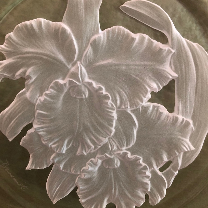 Hoya Crystal Plate Flower of the Month - Orchids - Etsy