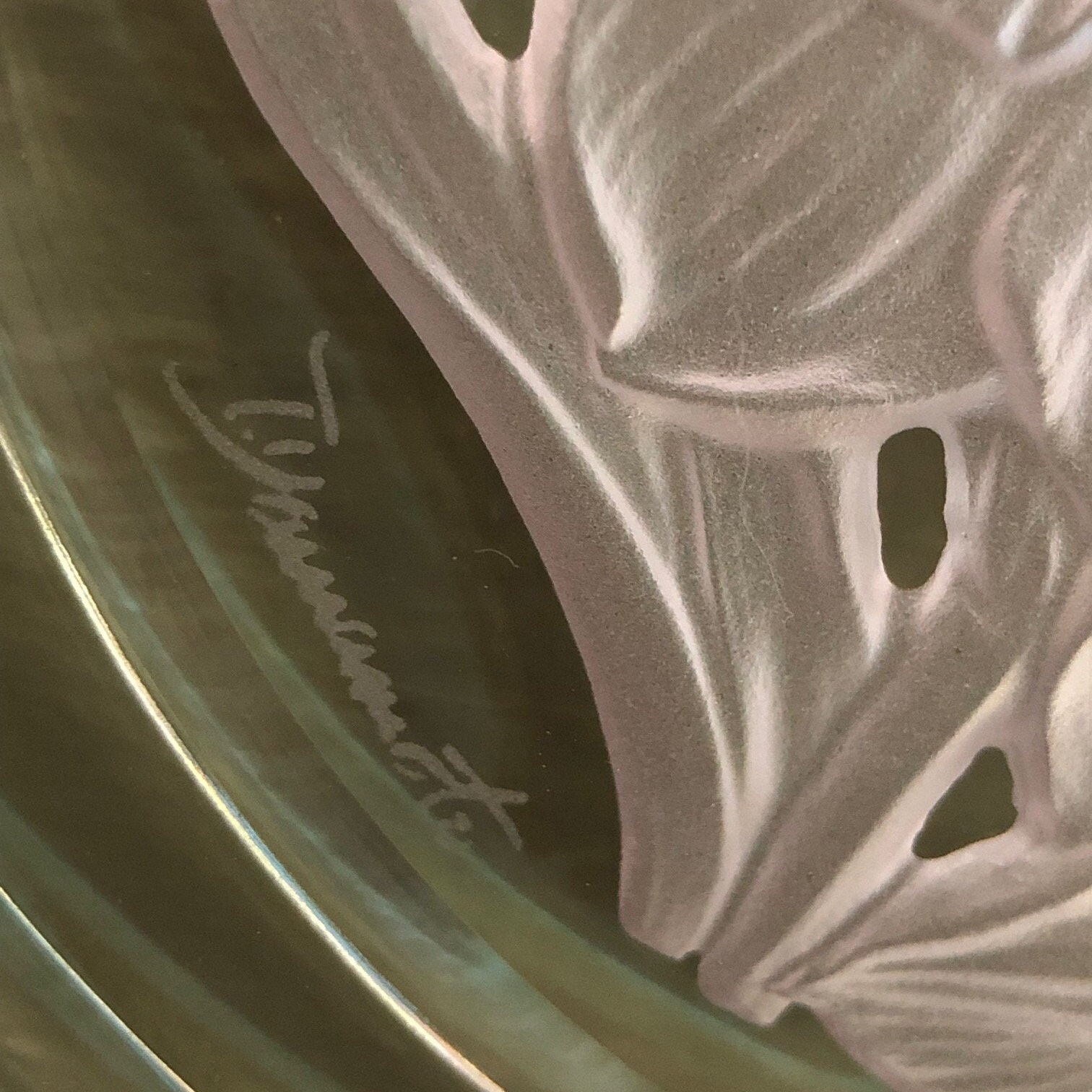 Hoya Crystal Plate Flower of the Month - Daffodils - Etsy